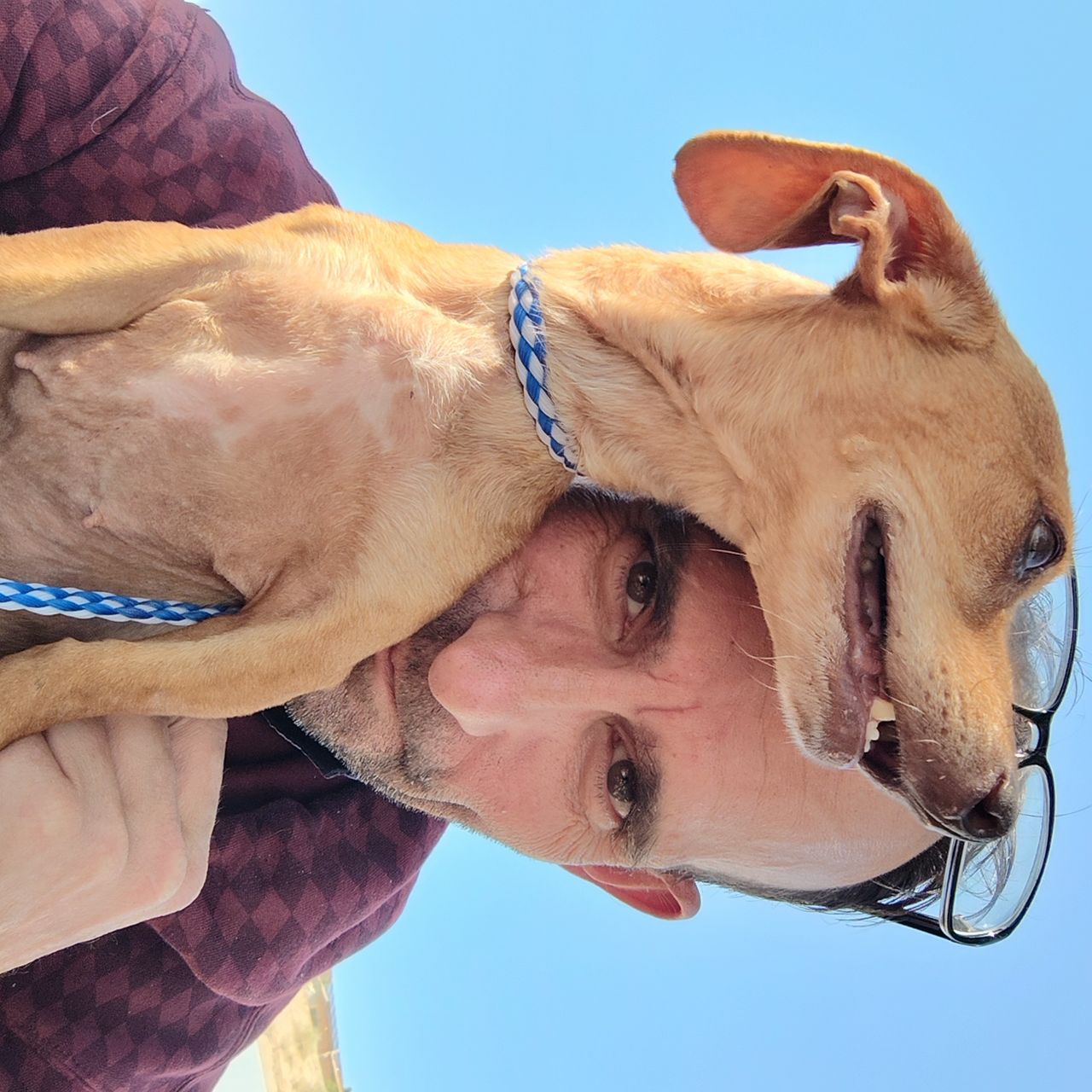 Pawsitive Trailways, LLC - Professional Driver | CitizenShipper